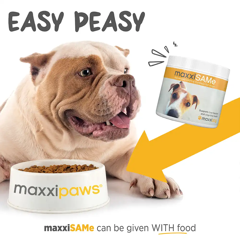maxxiSAMe - maxxipaws US