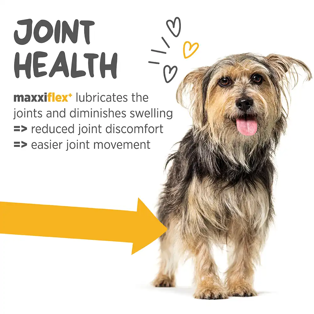 maxxiflex+ - maxxipaws US