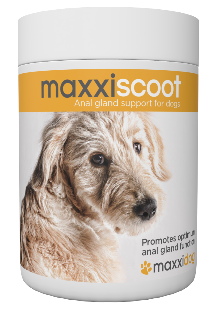 Home - maxxipaws US