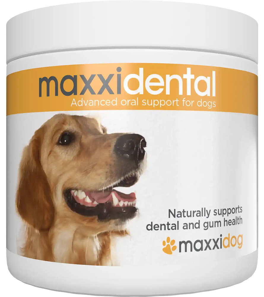 Home - maxxipaws US